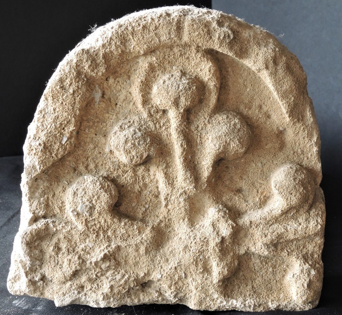 About – eynshammuseum